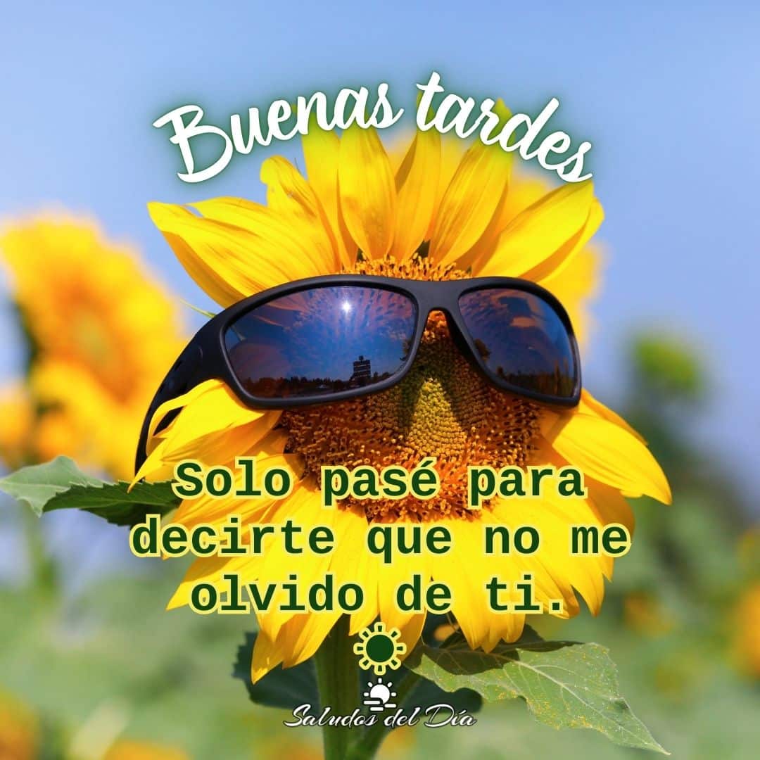 Buenas tardes – Saludos del Día