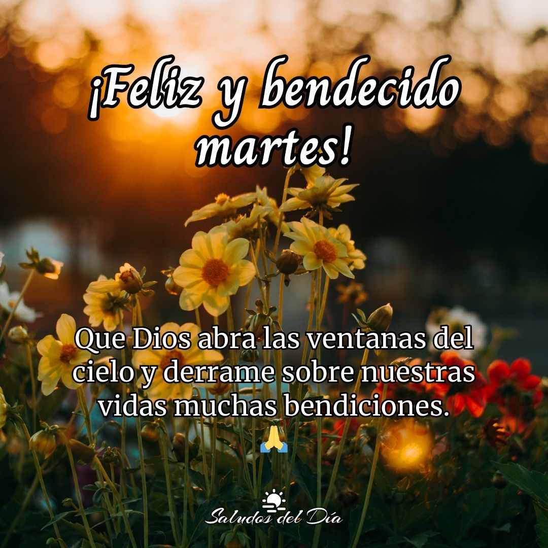Feliz y bendecido martes – Saludos del Día